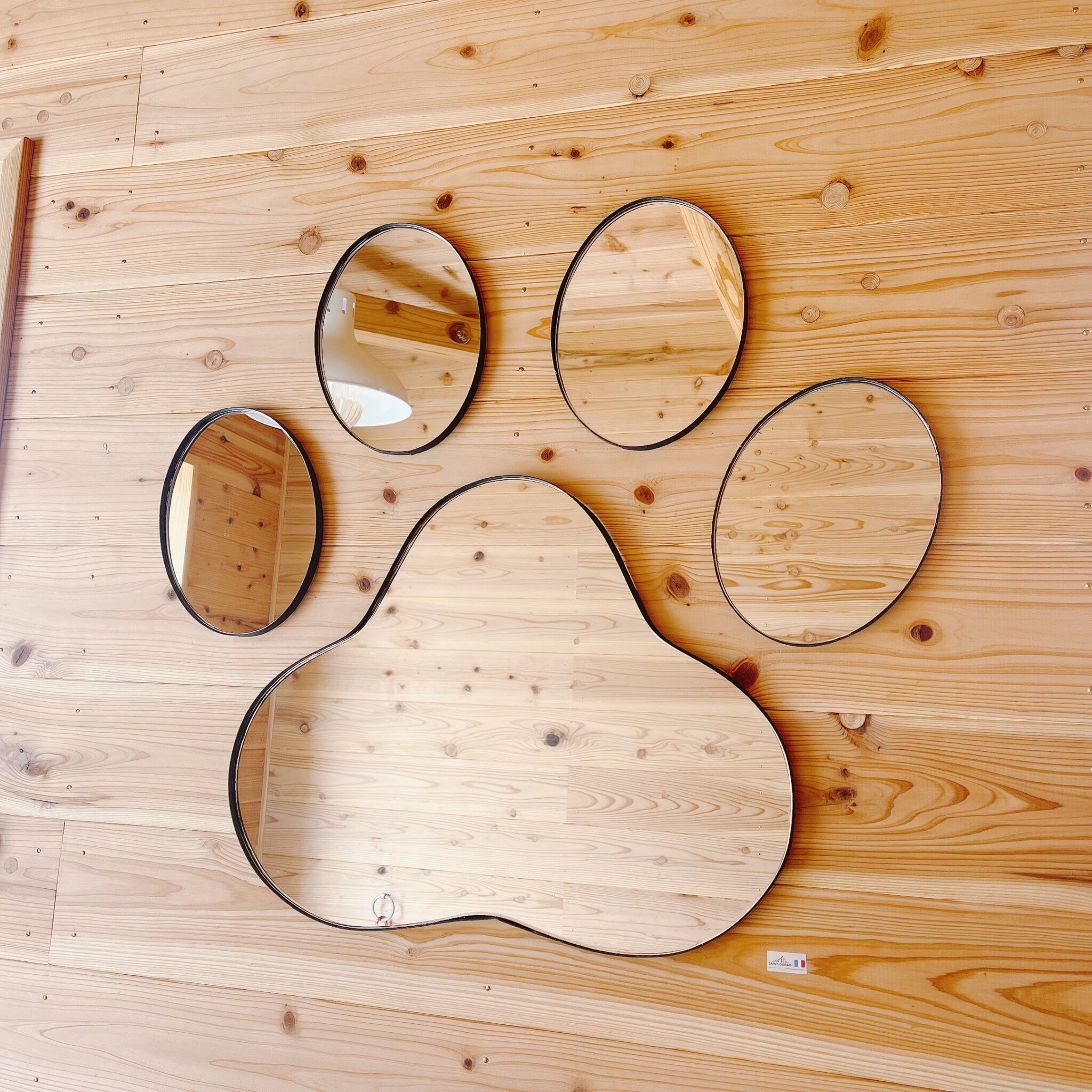 施設紹介 | DOG RUN & CAFE Teo One（ドッグラン テオワン）