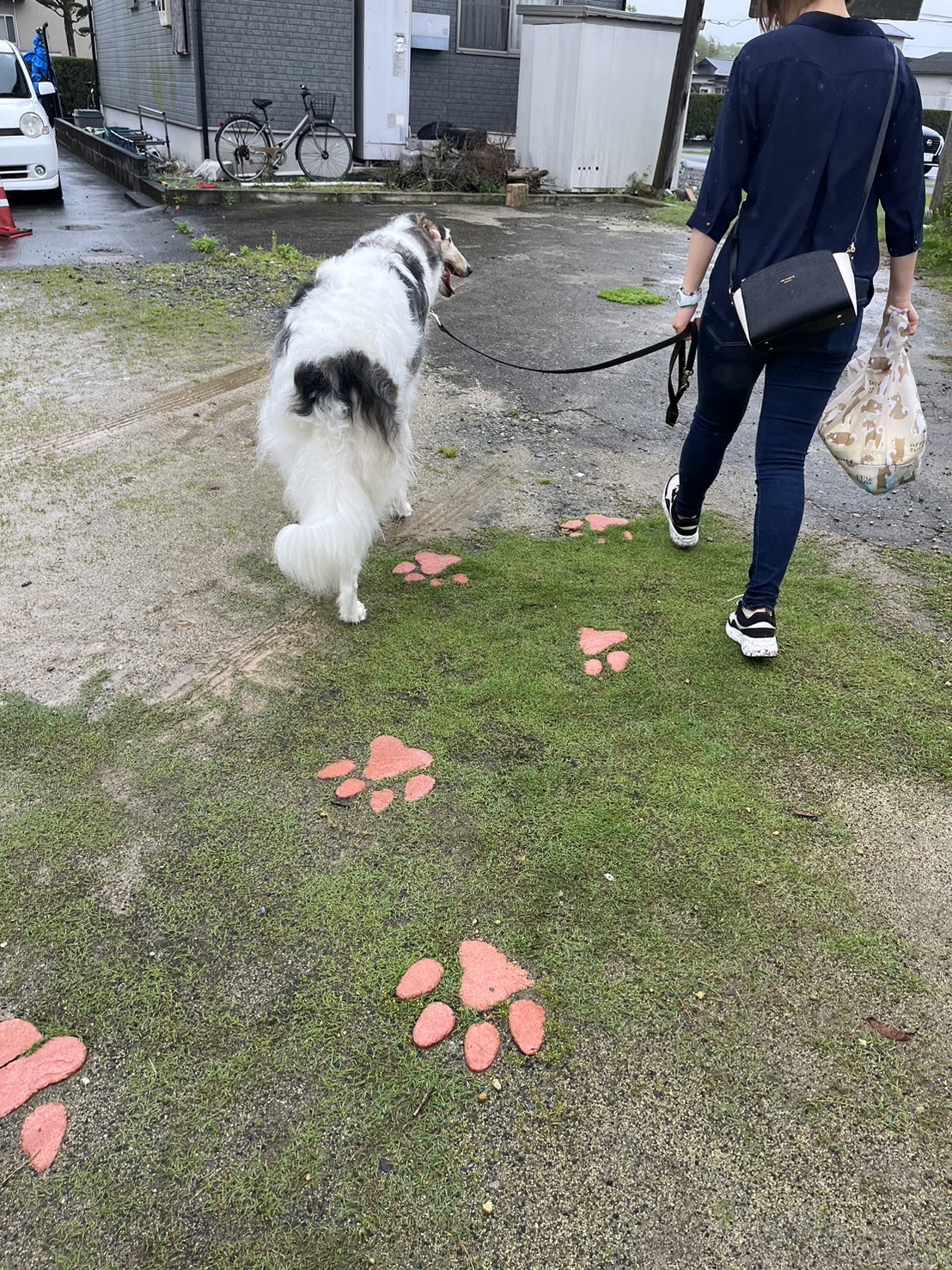 DOG RUN & CAFE Teo One（ドッグラン テオワン） | ドッグラン テオワン 熊本市城南町南区のドッグラン！！ ワンちゃんと飼い主様が共に遊び、共に楽しめるようなひと時を ...